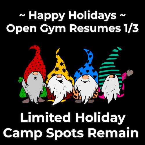 American Ninja Warrior Camps - Austin Ninjas | Austin Obstacle Course ...